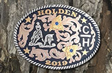 Baby Buckles