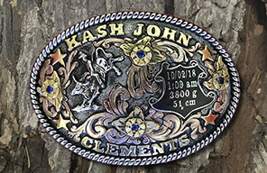 Baby Buckles